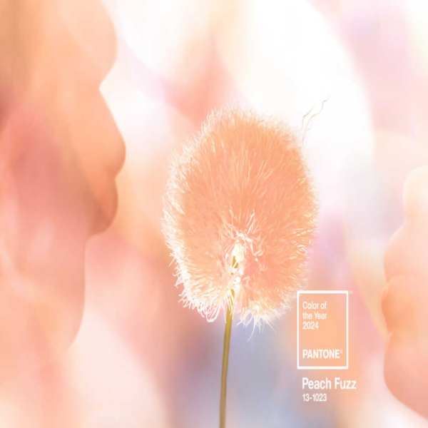 Embracing Harmony: The Essence of PANTONE 13-1023 Peach Fuzz in 2024 ...